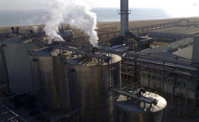 Savola UNITED SUGAR COMPANY OF EGYPT (USCE) - Hassan Allam