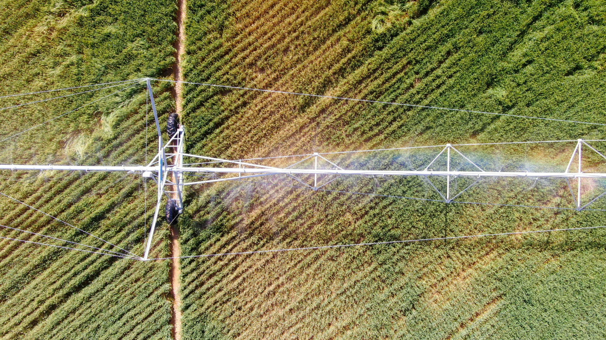 The Development of South Valley of Toshka Region - Hassan Allam