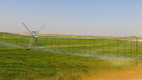 The Development of South Valley of Toshka Region - Hassan Allam
