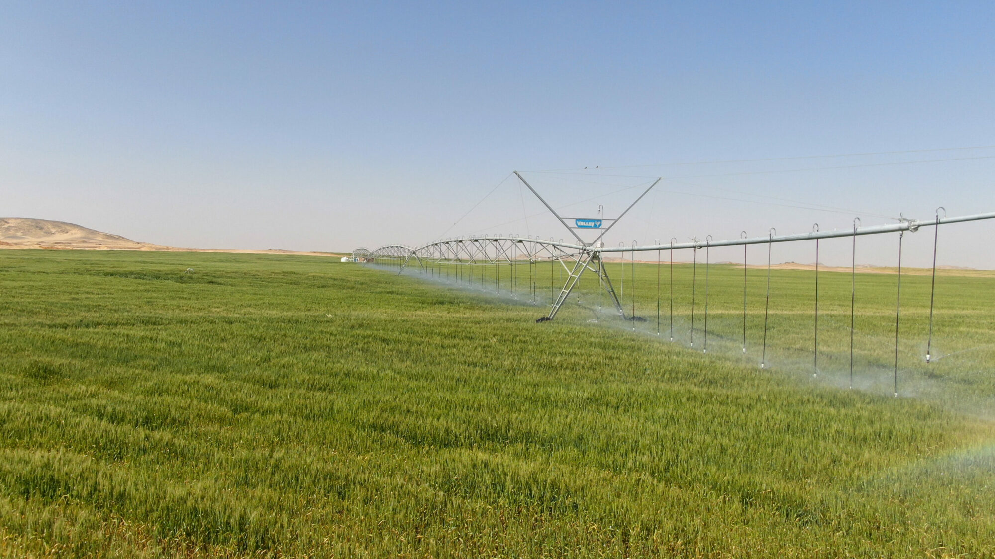 The Development of South Valley of Toshka Region - Hassan Allam