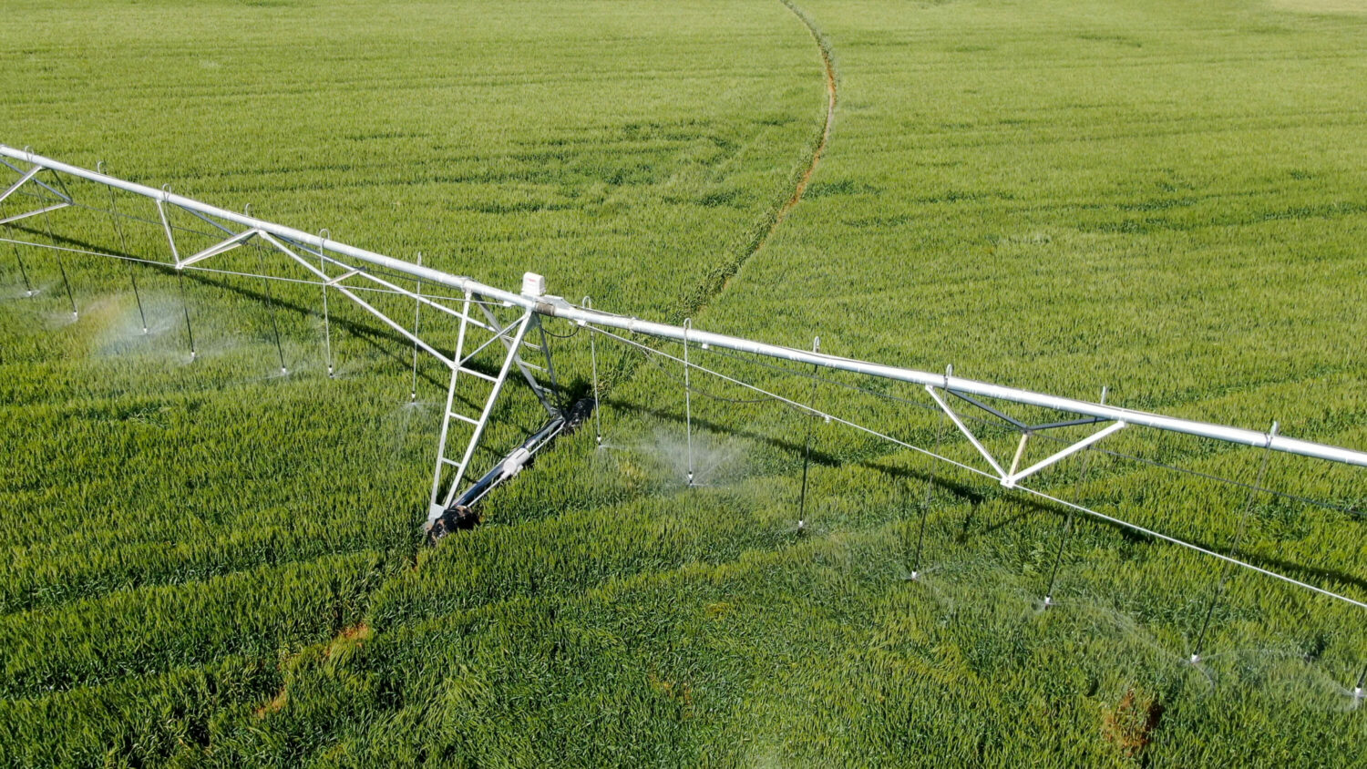 The Development of South Valley of Toshka Region - Hassan Allam