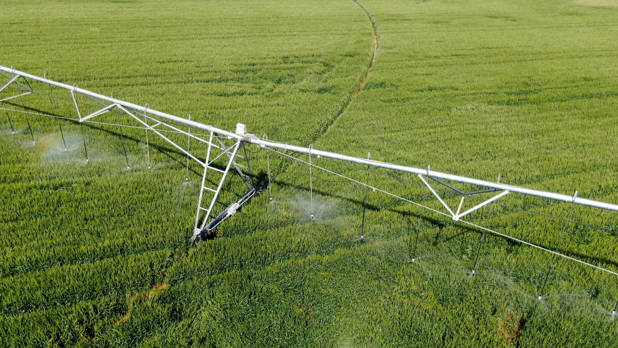 The Development of South Valley of Toshka Region - Hassan Allam