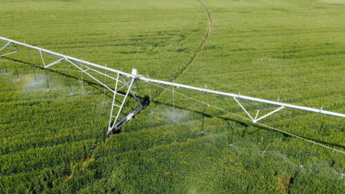 The Development of South Valley of Toshka Region - Hassan Allam