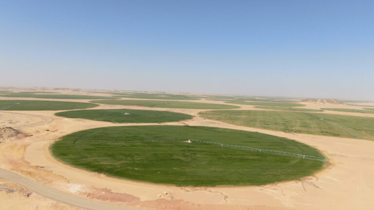 The Development of South Valley of Toshka Region - Hassan Allam