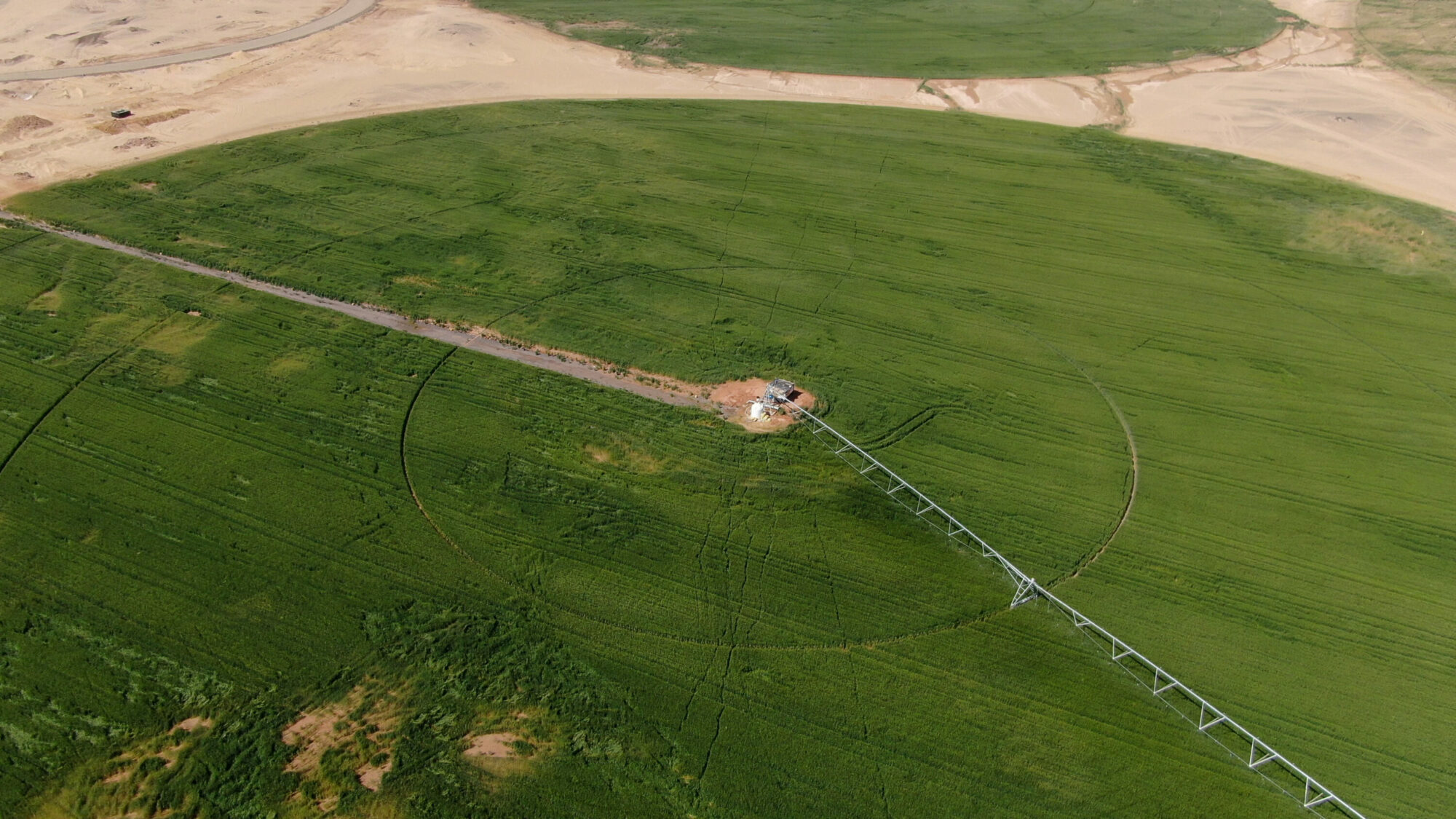 The Development of South Valley of Toshka Region - Hassan Allam