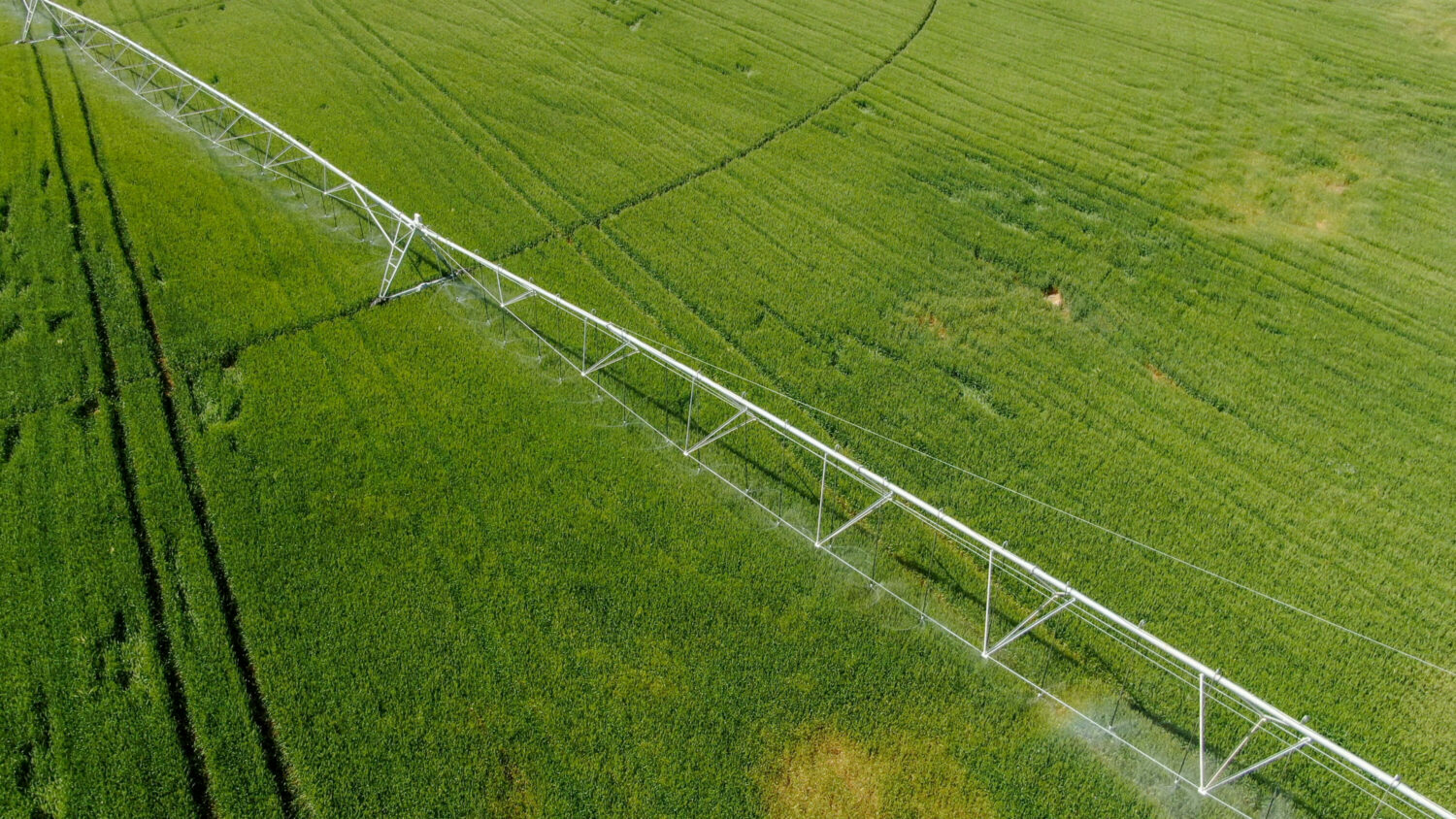 The Development of South Valley of Toshka Region - Hassan Allam