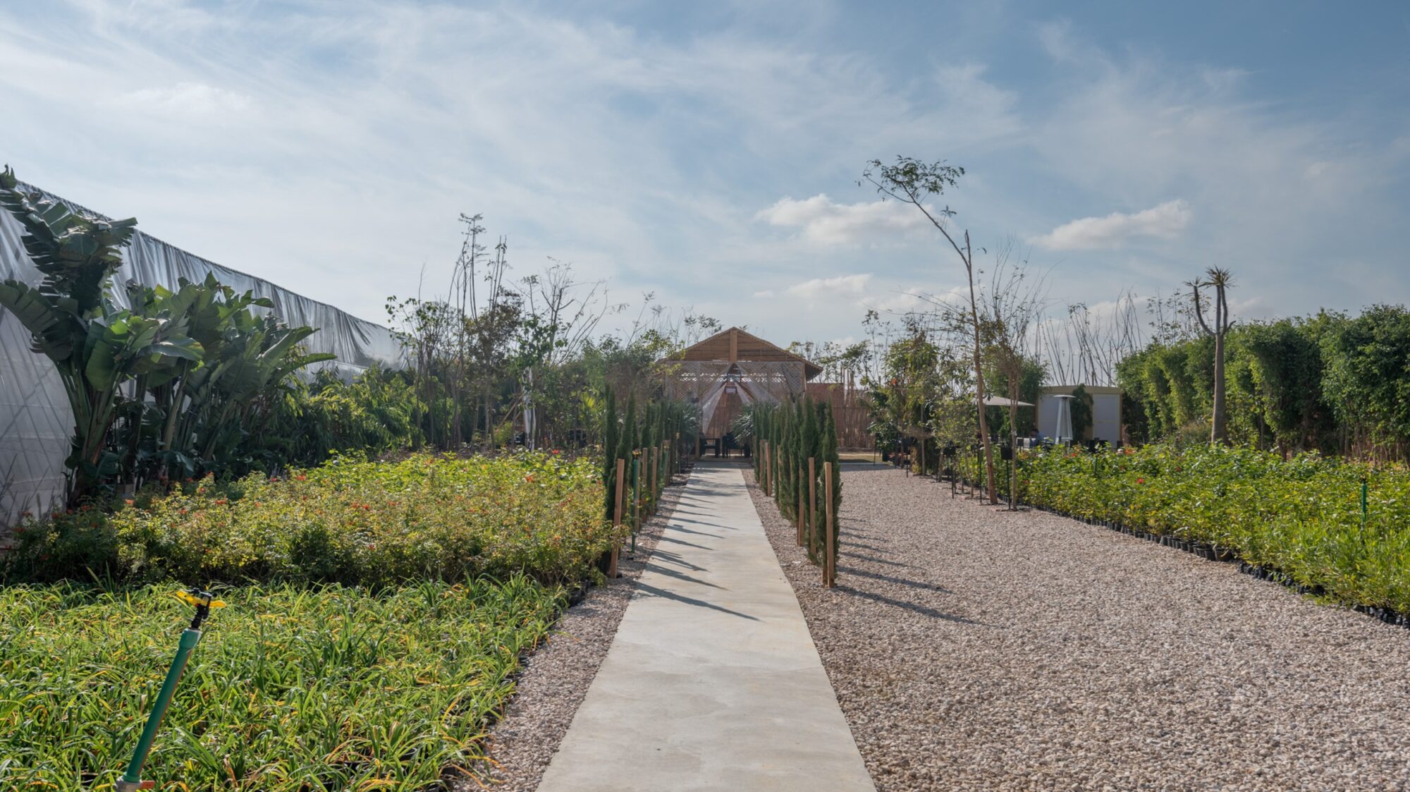 Jinet - Hassan Allam