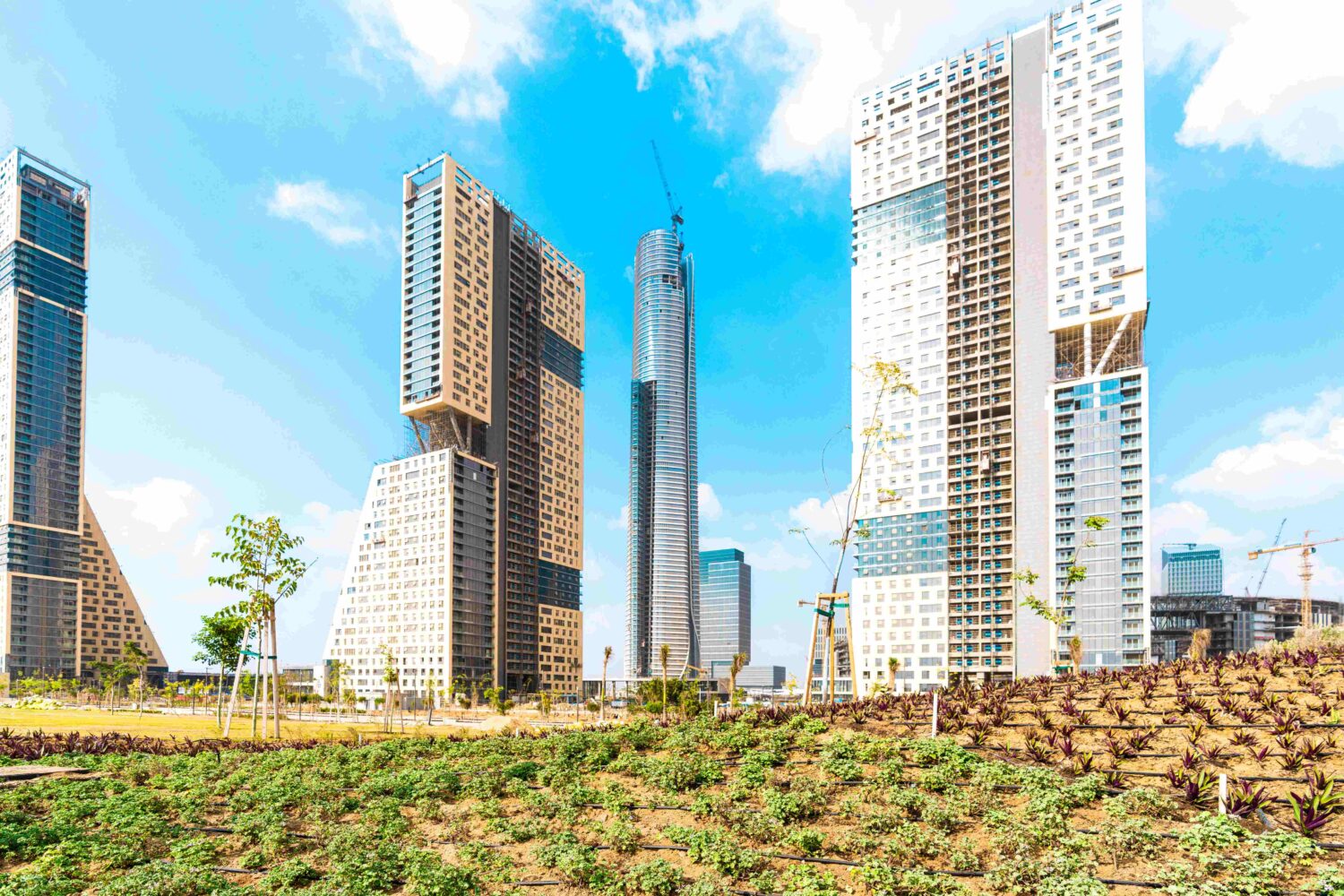 Our team at Jinet Landscape and Services achieved great accomplishments ...