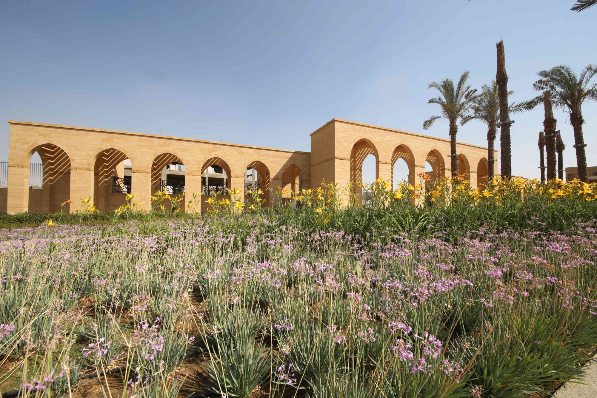 Transforming landscapes and bringing back nature's charm! - Hassan Allam